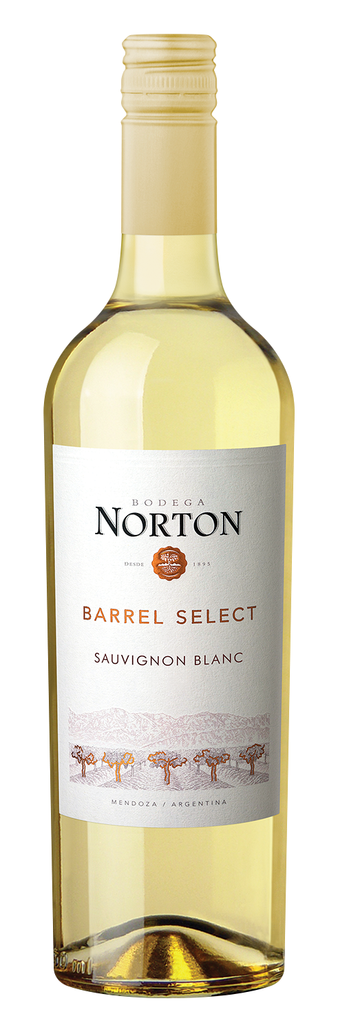Wine and Beyond - BODEGA NORTON BARREL SELECT SAUVIGNON BLANC 750ML ...